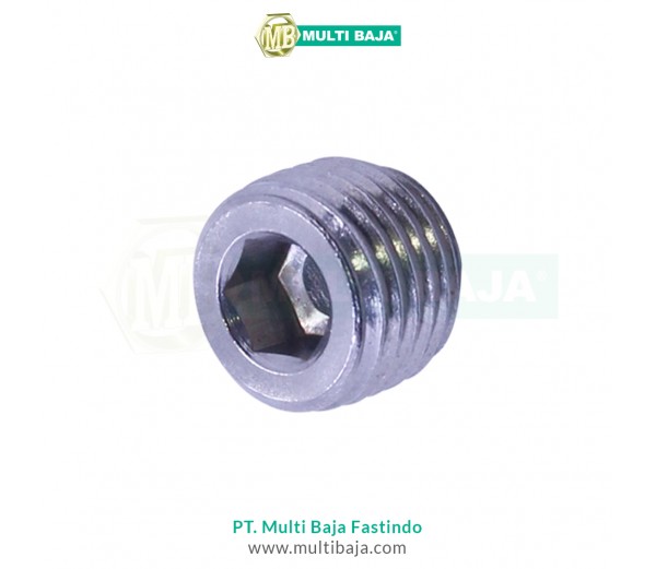 Jual Socket Pressure Plug DIN 906 - PT Multi Baja Fastindo